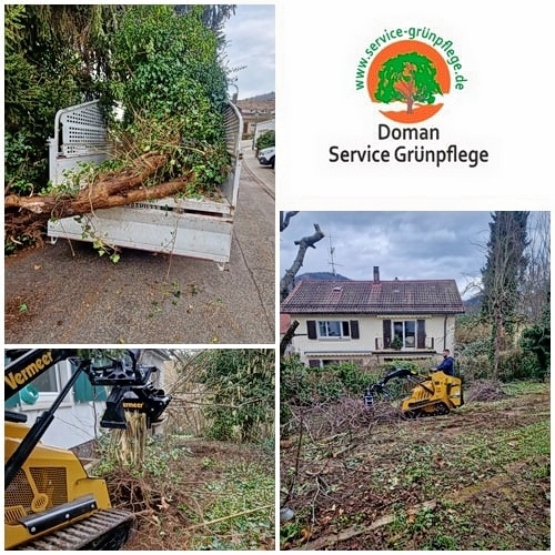 Rodungsarbeiten für Bauprojekte und landwirtschaftliche Nutzung